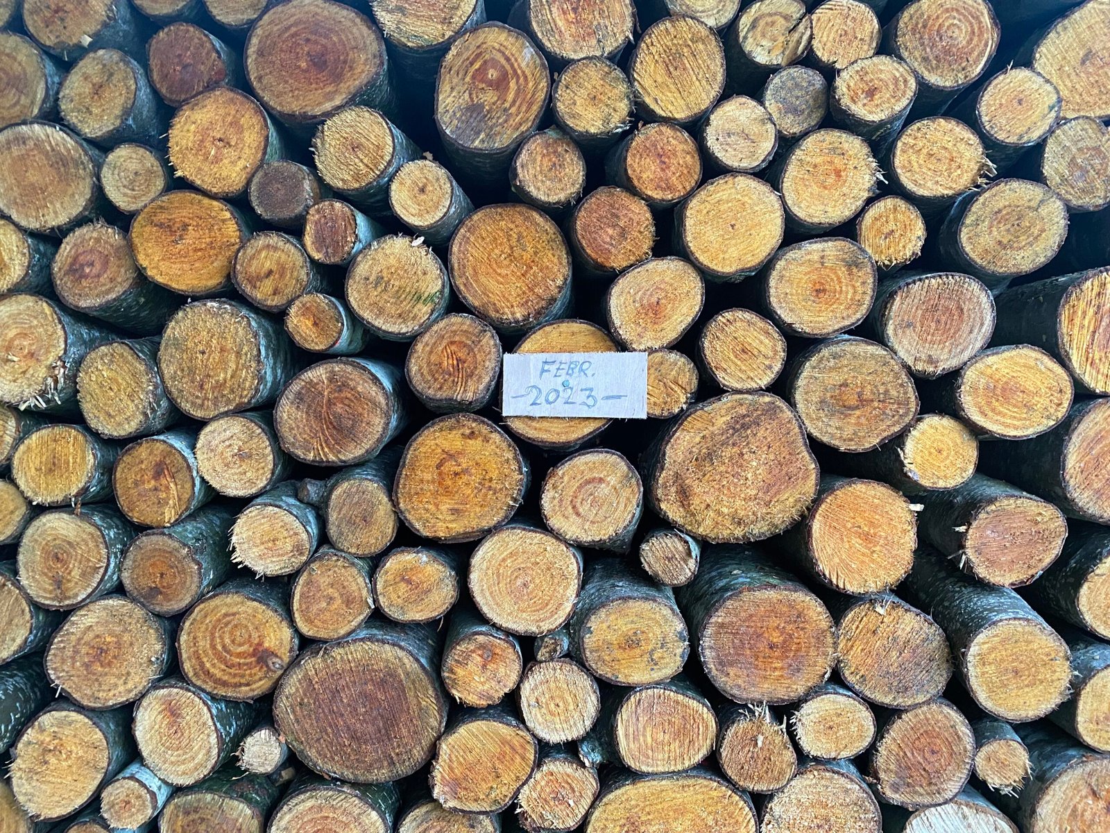 Hout – Vrijzinnig Lunteren